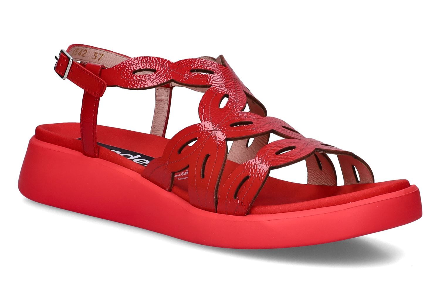 Sandales plates WONDERS WILLOW pour Femmes